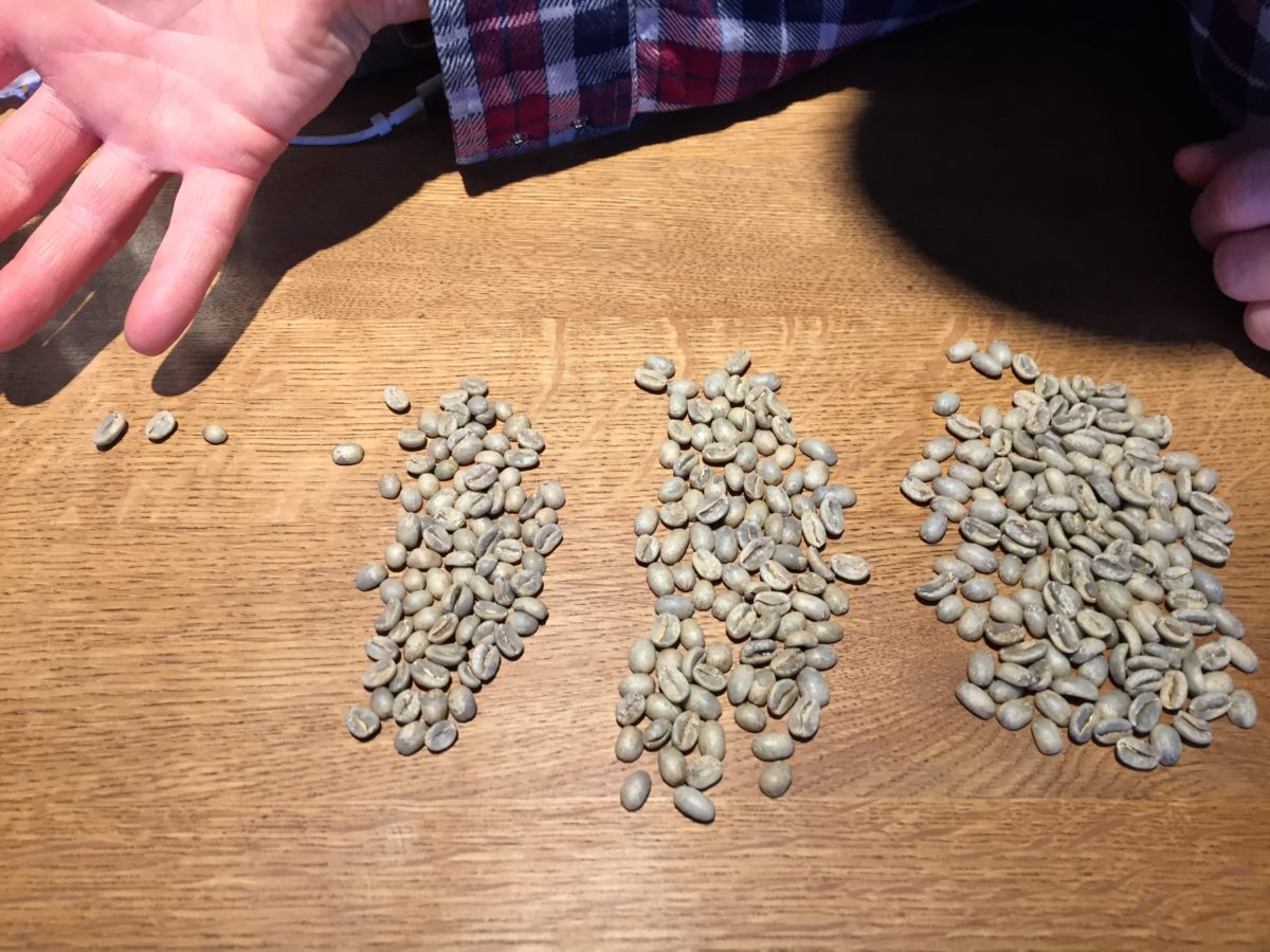 12 different Geisha coffees - CoffeeNavigated